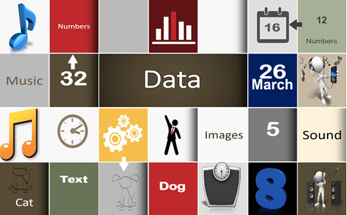 Acquire, record and represent data: Year 1: Planning tool