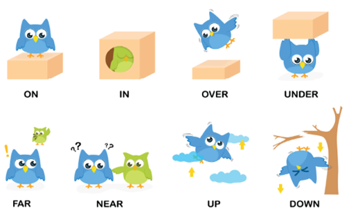 Position and location: Foundation: Planning tool