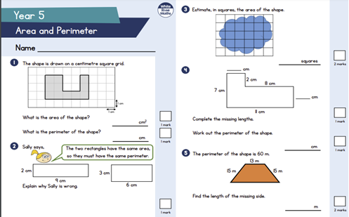 Area and perimeter: Year 5: Planning tool