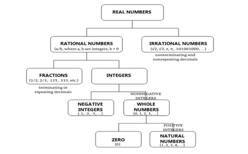 Number sequence: Year 9: Planning tool
