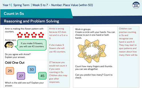 Number sequence: Year 1: Planning tool