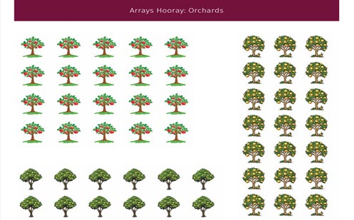 Multiplication and division: Year 2: Planning tool