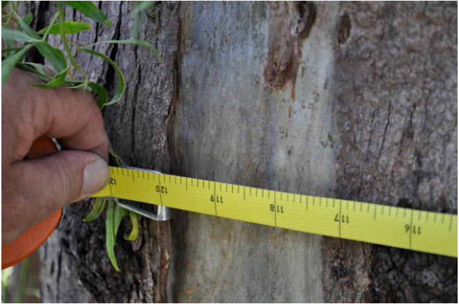 Polygon angle theorems