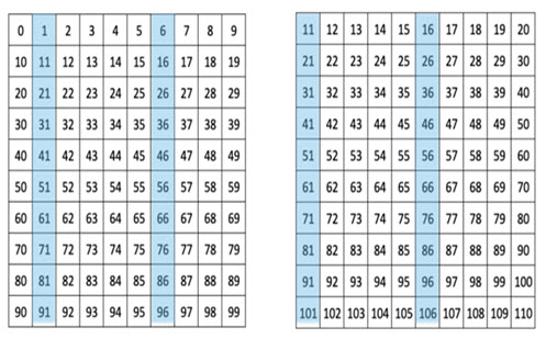 Number sequence: Year 2: Planning tool