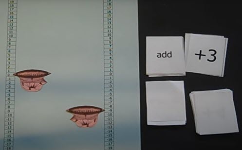 Number sequence: Year 6: Planning tool