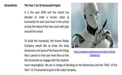 The humanoid project