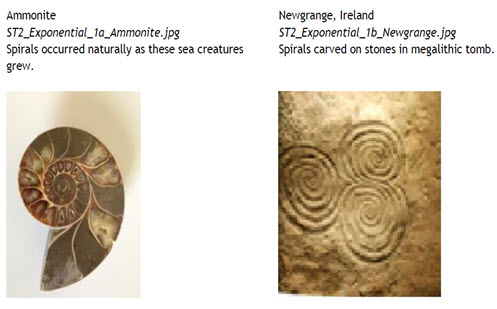 reSolve: Real-World Algebra: Exponential Functions