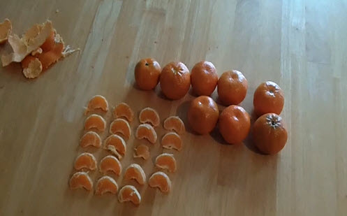 Rows of oranges