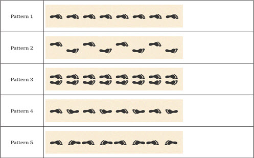 Transformation: Symmetry: Year 4: Planning tool