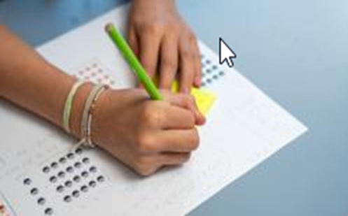 Multiplication: Trays of Arrays