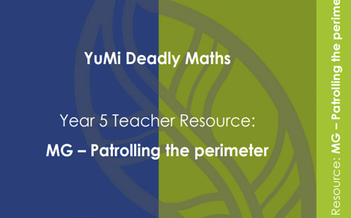 Area and perimeter: Year 5: Planning tool