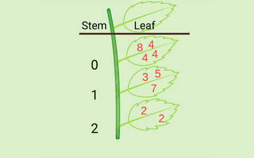 Stem and leaf plots