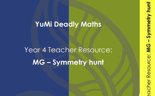 Transformation: Symmetry: Year 4: Planning tool