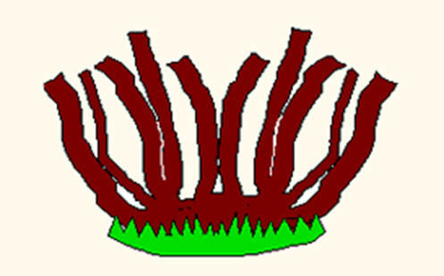 Mathematical modelling: Year 5: Planning tool