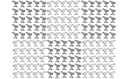 Find unknown values: Year 4: Planning tool