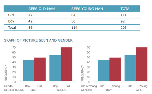 Data investigation and interpretation (Year 6)