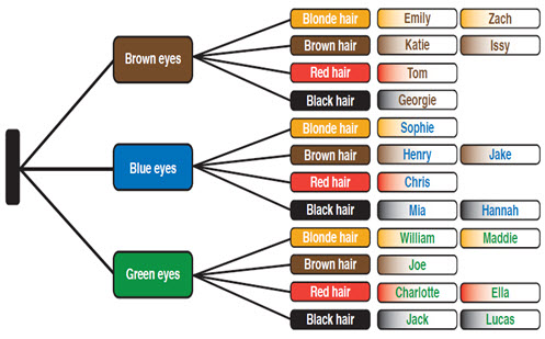 reSolve: Multiplication: Cartesian Product